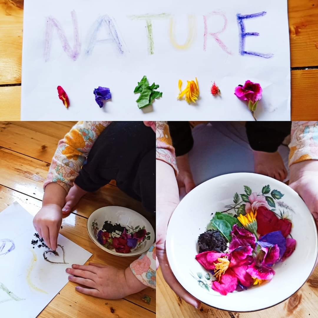 🌿 Nature Drawings 🌿 – Letters From Lily